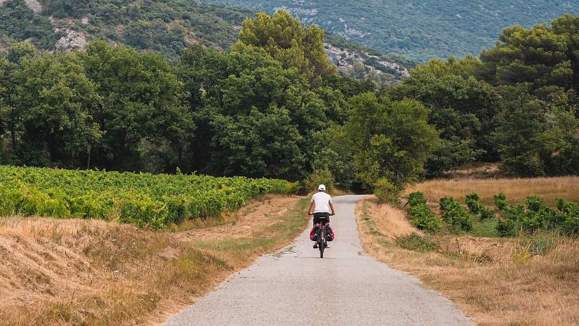 Vélo Loisir Provence : Découverte du Luberon et du Verdon à vélo