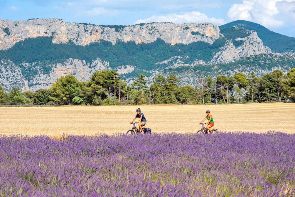 Vélo Loisir Provence : Découverte du Luberon et du Verdon à vélo